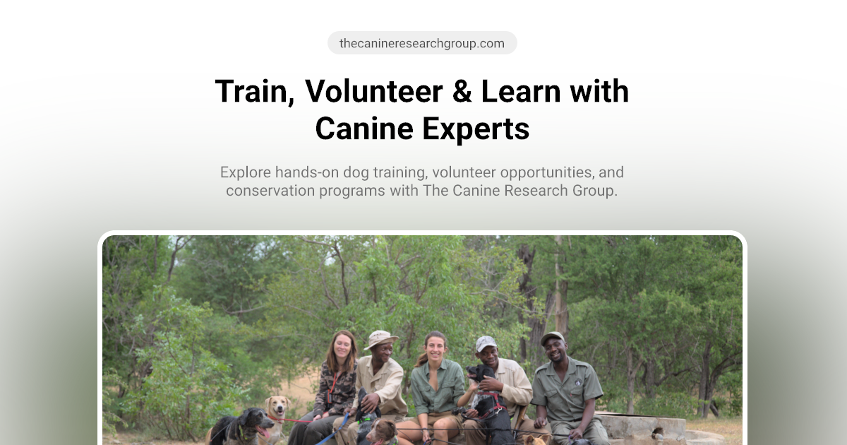 Expert Dog Training & Conservation
